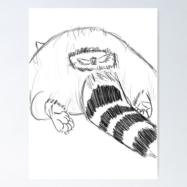 "Cursed raccoon" Poster for Sale by ChaoticScott | Redbubble