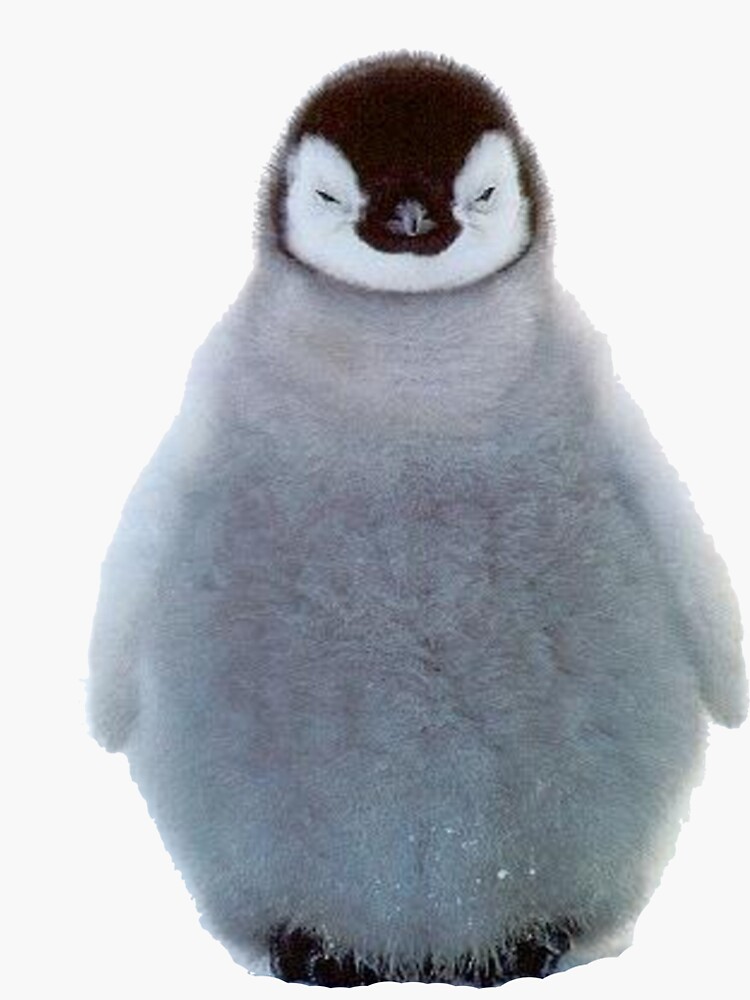 "Pengu 7" Sticker for Sale by DrTigrou | Redbubble