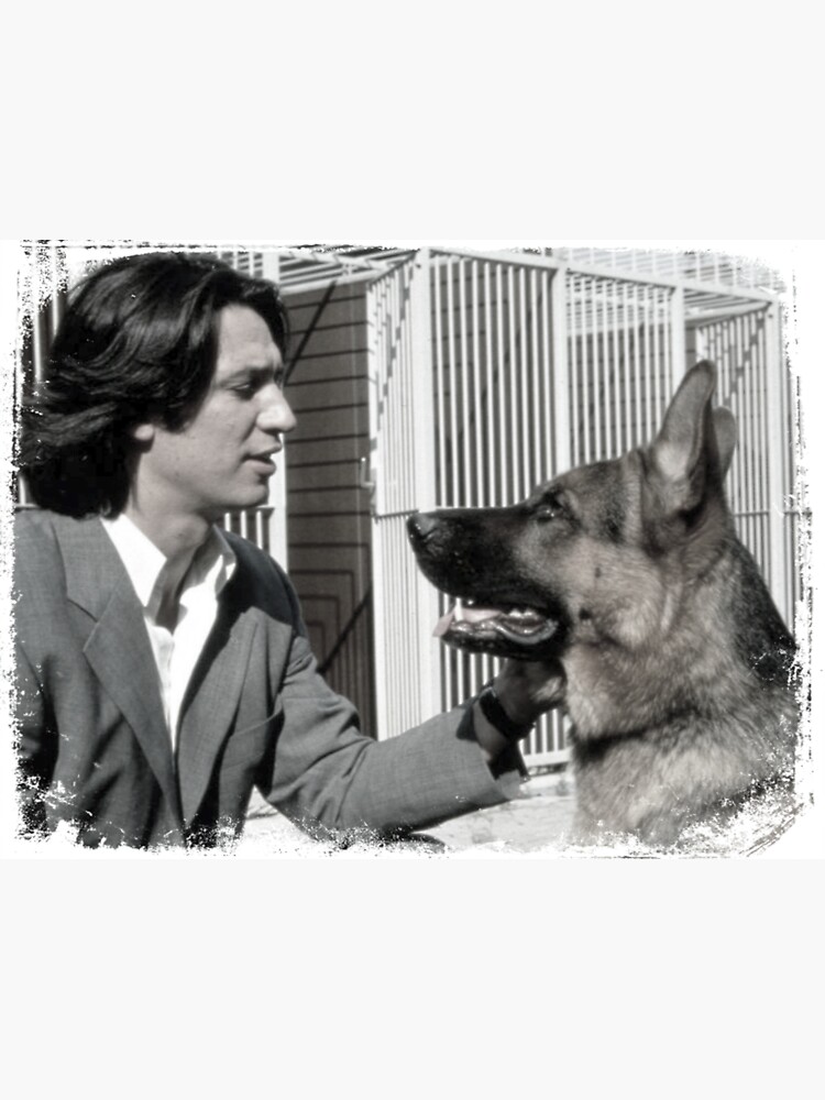 "Friendship - Moser and Rex" Sticker by crowleyshound | Redbubble