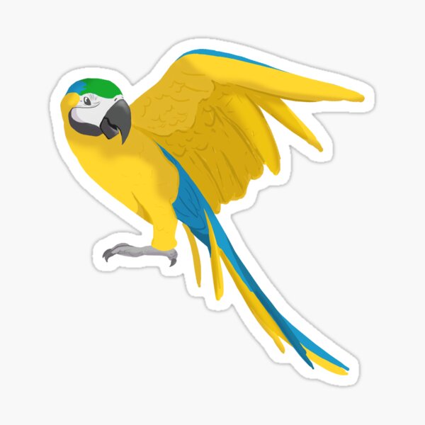"Macaw" Sticker for Sale by imaginativeink | Redbubble