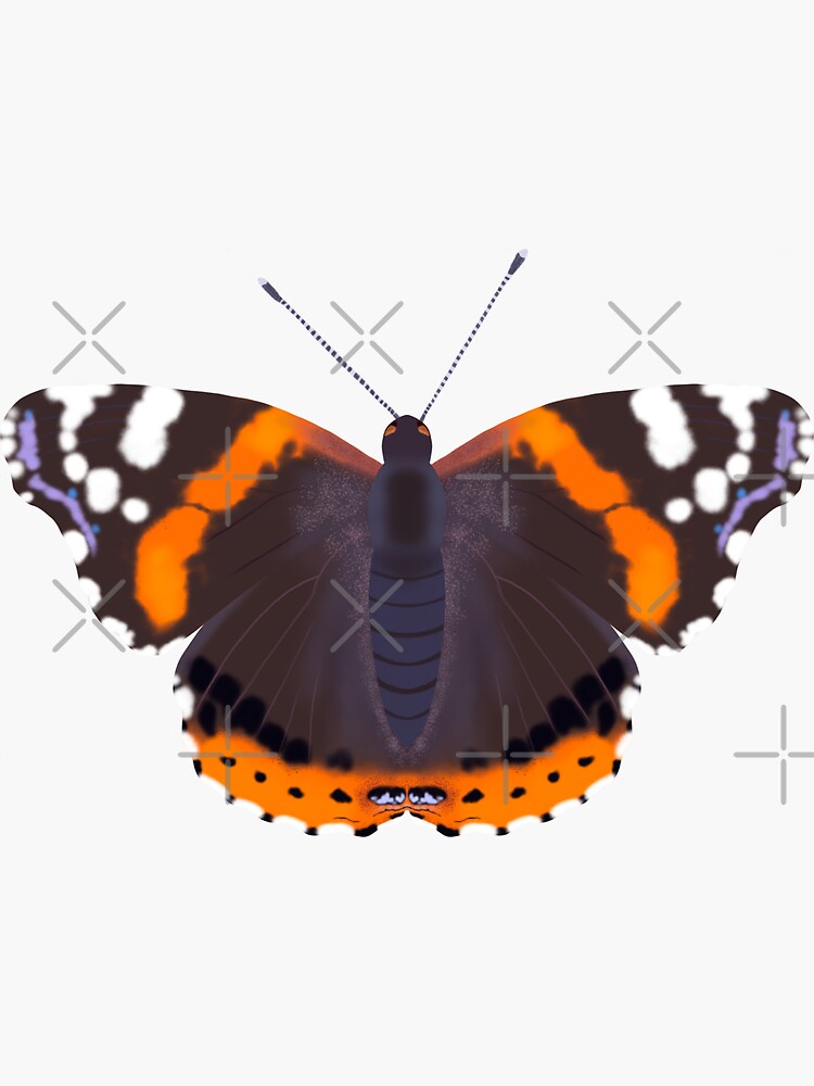 "Beautiful Red Admiral Butterfly" Sticker by KirstyNadineArt | Redbubble