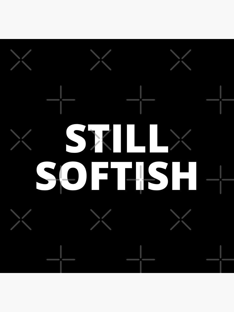 "Still Softish, TikTok Fame Josh Richard Bryce Hall" Poster for Sale by ...