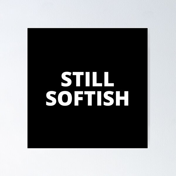 "Still Softish, TikTok Fame Josh Richard Bryce Hall" Poster for Sale by ...