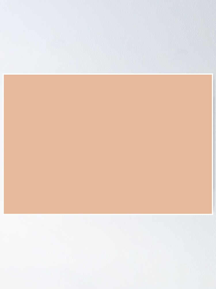"Light Apricot Solid Color Single Accent Shade / Hue Coordinates w ...