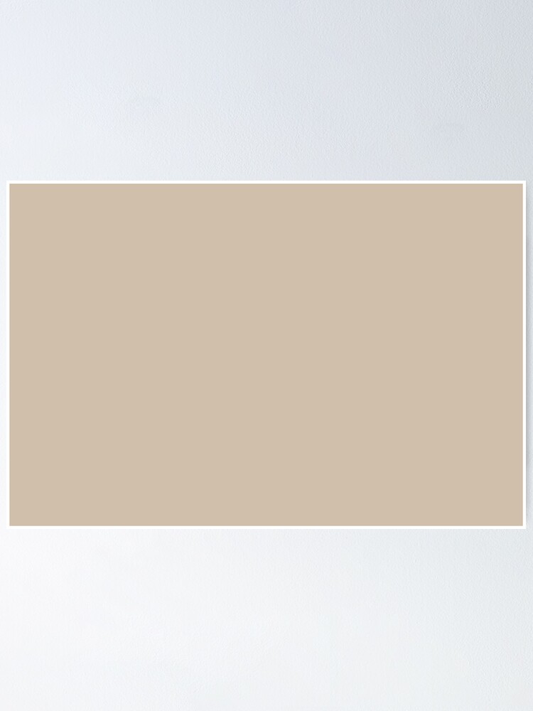 "Light Beige Solid Color Single Accent Shade / Hue Coordinates w ...