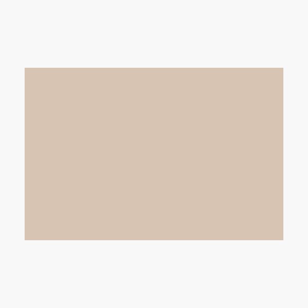 "Light Beige Solid Color Single Accent Shade / Hue Coordinates w ...