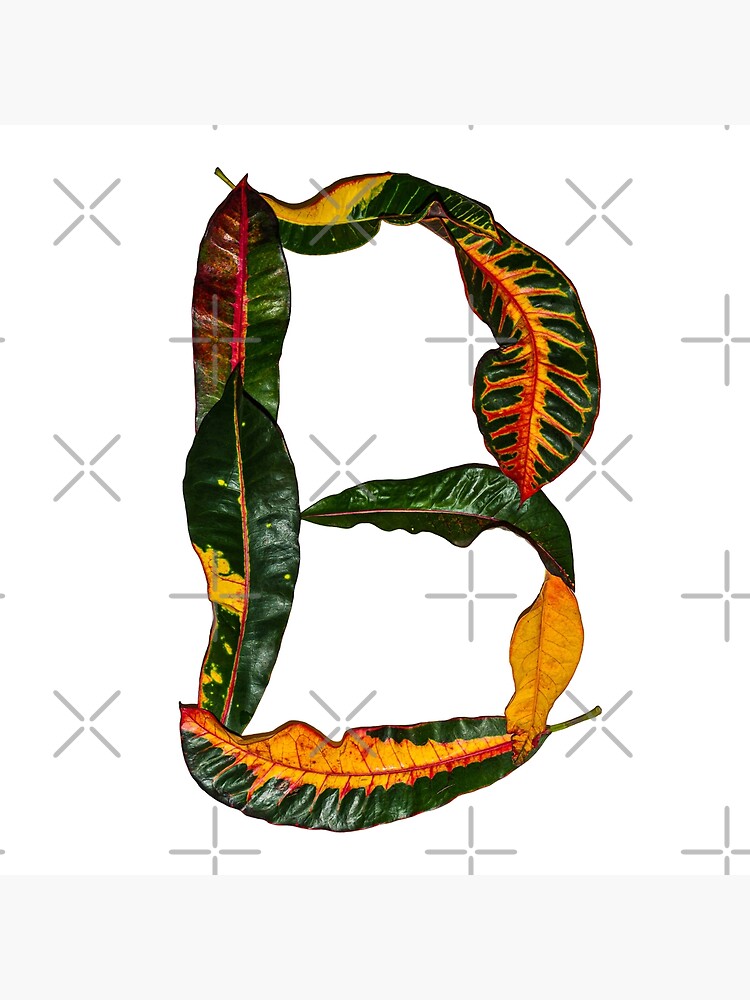 Lámina fotográfica «La letra B - hecha de hojas de colores» de ...