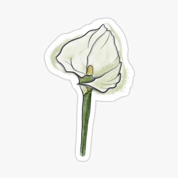 "Calla lilies floral pattern " Sticker for Sale by Mashusha-art | Redbubble