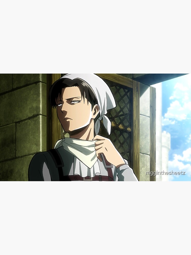 "Levi Cleaning" Sticker for Sale by mgginthesheetz | Redbubble