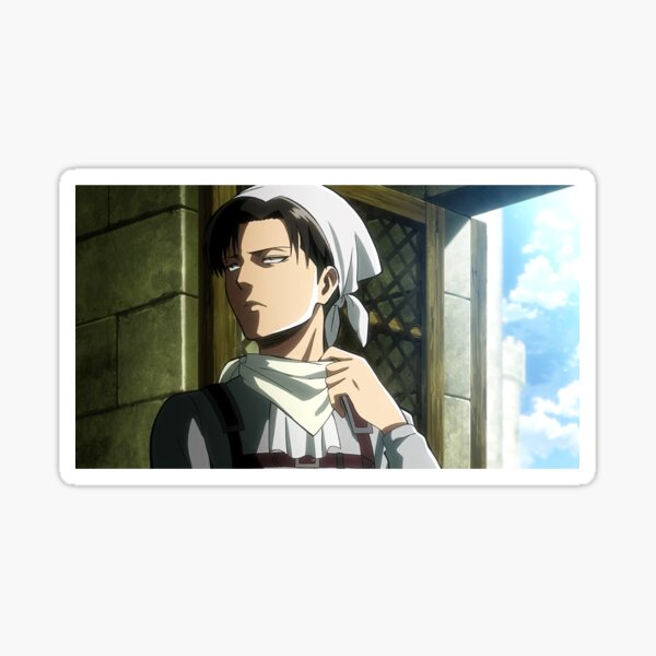 "Levi Cleaning" Sticker for Sale by mgginthesheetz | Redbubble