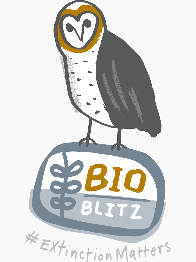 "BioBlitz Masked owl logo" Sticker by bookendtrust | Redbubble