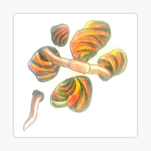 "worm" Sticker for Sale by keegzflashart | Redbubble