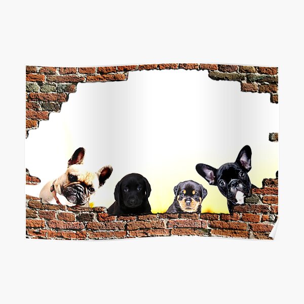 Póster «Perritos lindos que miran a escondidas en un agujero de una ...