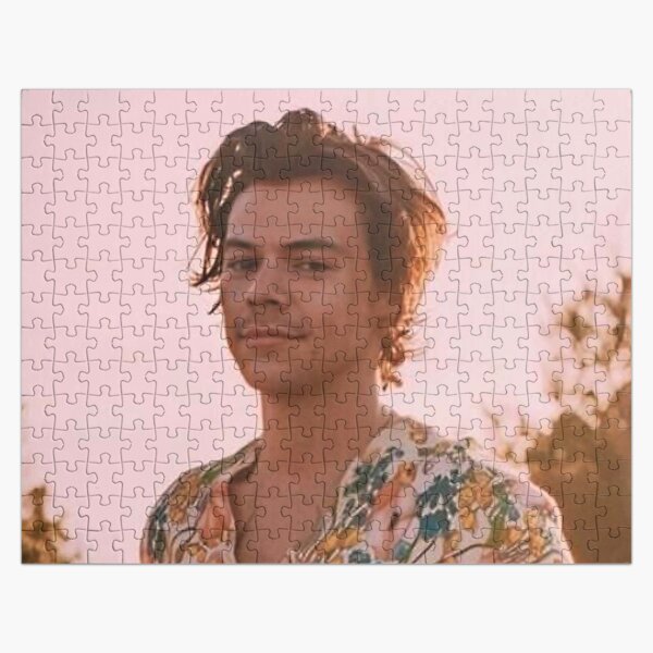 Harry Styles Pose Jigsaw Puzzles | Redbubble