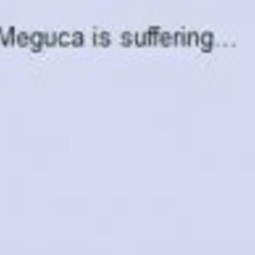 "meguca is suffering" Sticker for Sale by Ramencat1 | Redbubble