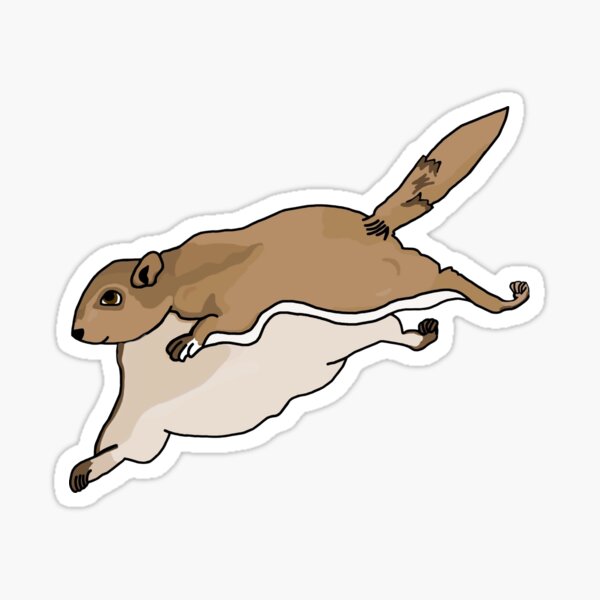 "Flying Squirrel" Sticker for Sale by imphavok | Redbubble