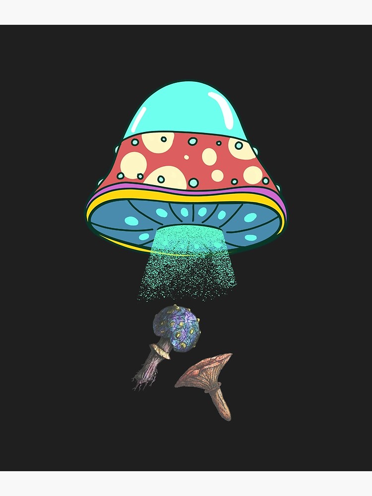 "Goblincore Dark Aesthetic Alien Abduction" Art Print by bianquepod ...