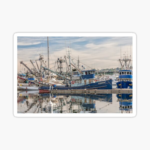 "Vernon" Sticker by PhotosByHealy | Redbubble