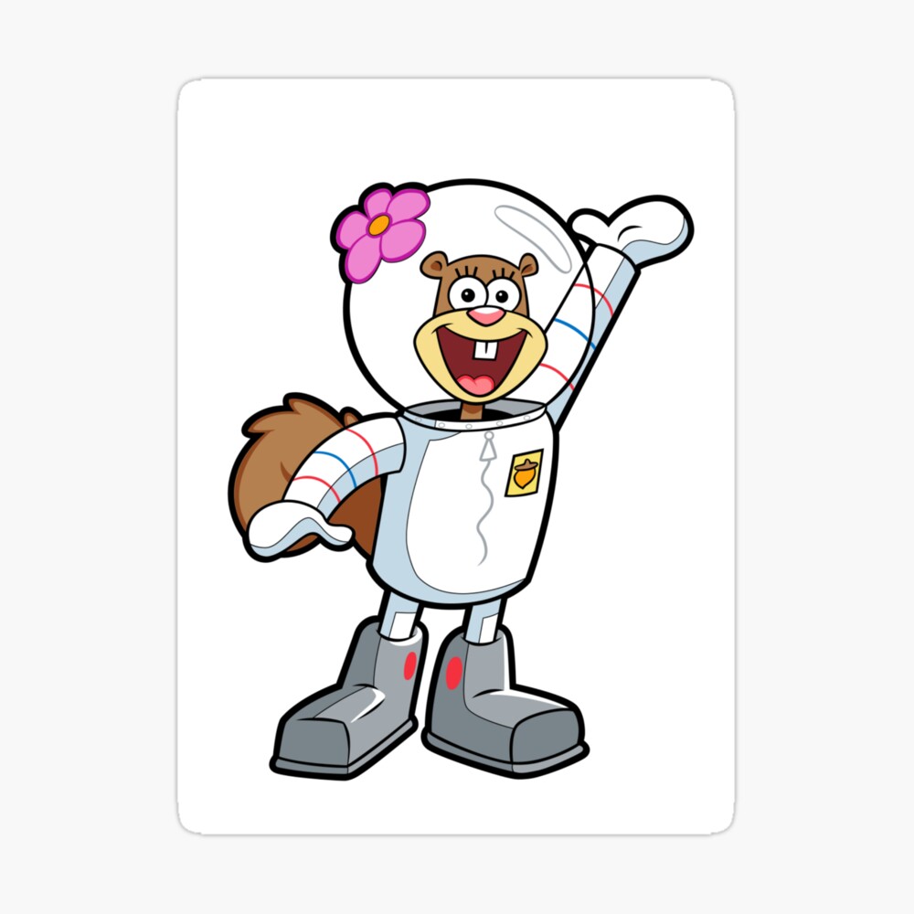 Sandy Cheeks Cartoon Sandy Cheeks Socken – SpongeBob Cartoon Socken