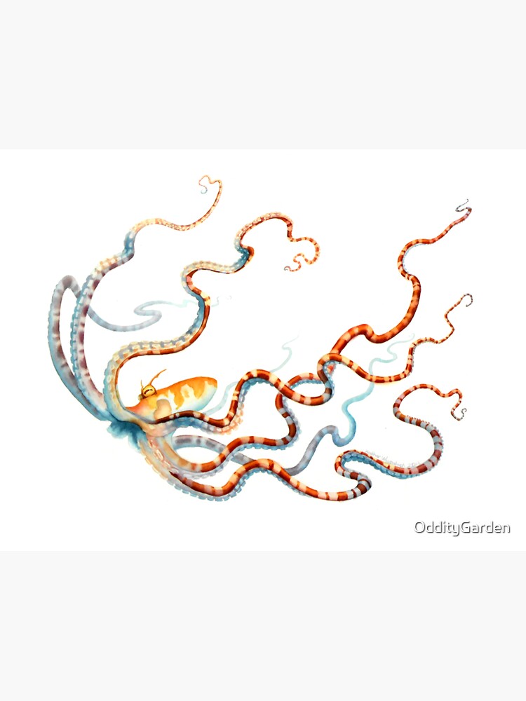 "Mimic Octopus" Sticker by OddityGarden | Redbubble