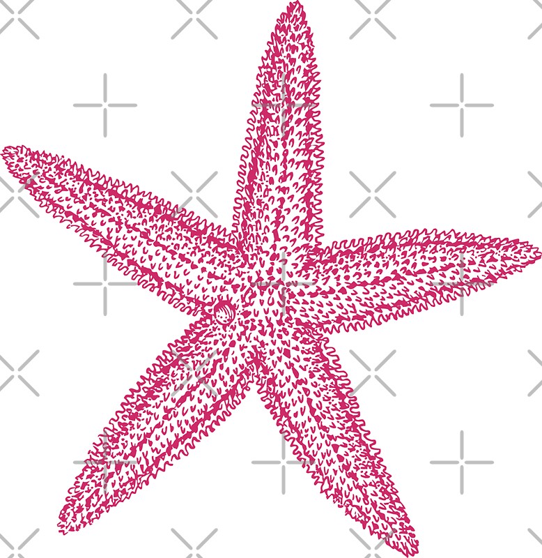 Pink: Stickers | Redbubble