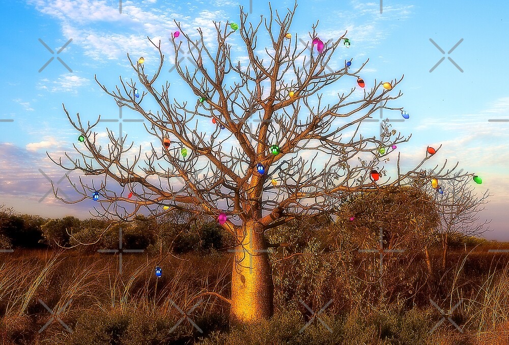 "Derby Boab Christmas Tree W.A." by Mary Jane Foster | Redbubble