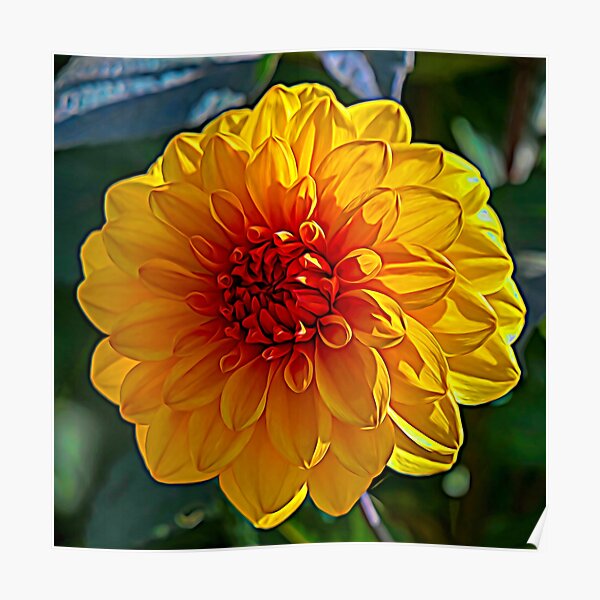 "Manipulated flower photo" Poster by Ralad2021 | Redbubble