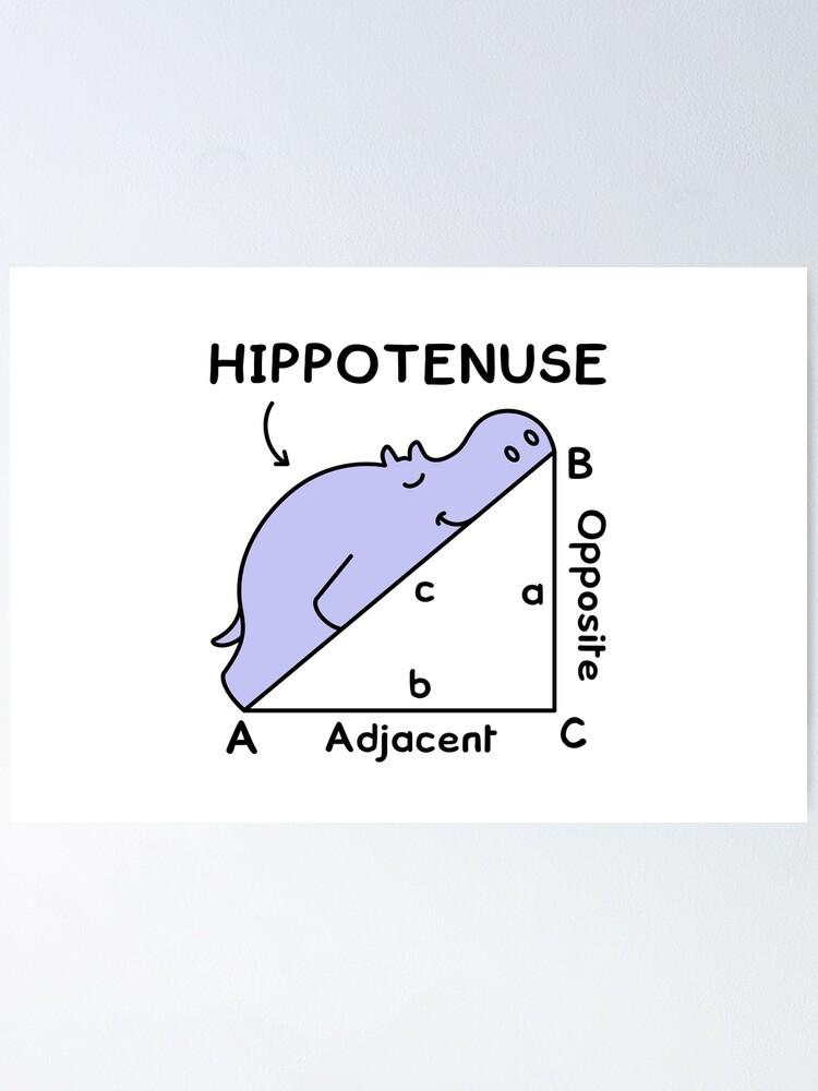 "Hippotenuse, Hypotenuse Math Pun" Poster by TashaVector | Redbubble