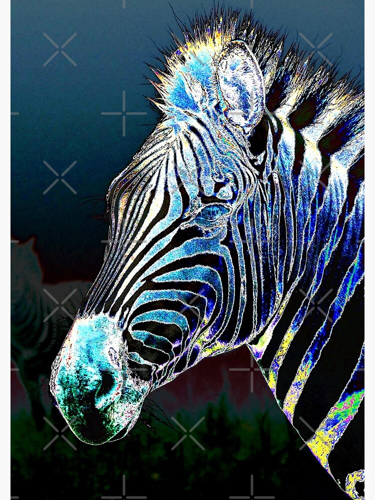 "Wild Zebra Photographic Print | Blue Zebra | Zebra Stripes | Zebra ...