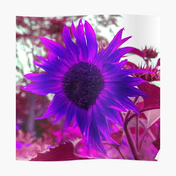 "Manipulated flower photo" Poster by Ralad2021 | Redbubble