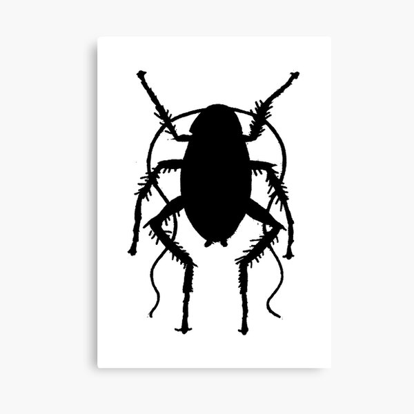 "Cockroach" Canvas Print for Sale by MordaxFurritus | Redbubble