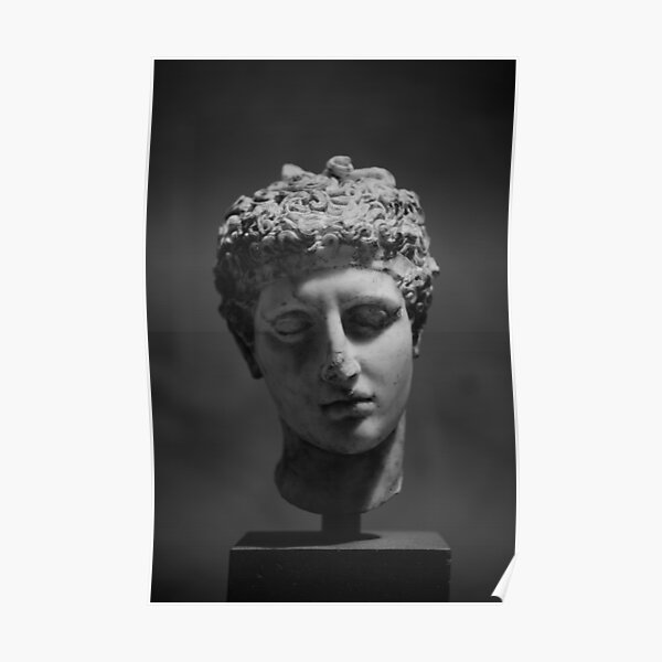 "On portrait mode" Poster for Sale by osmosisart | Redbubble