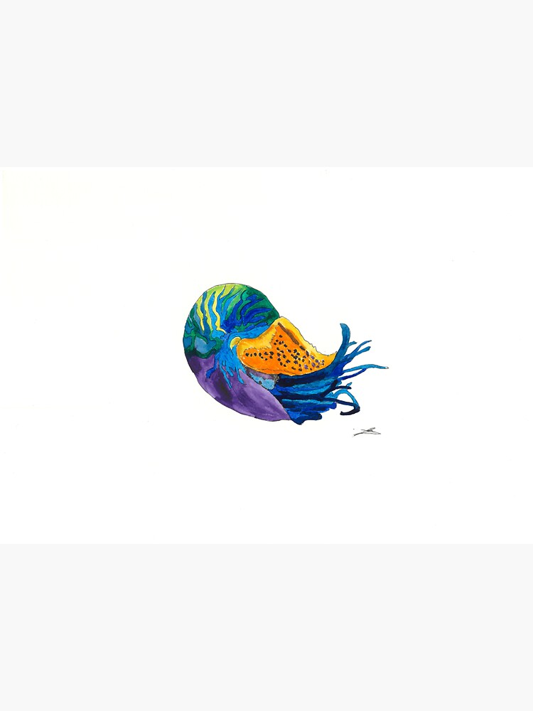 "Nautilus" Sticker for Sale by JensOceanArt | Redbubble