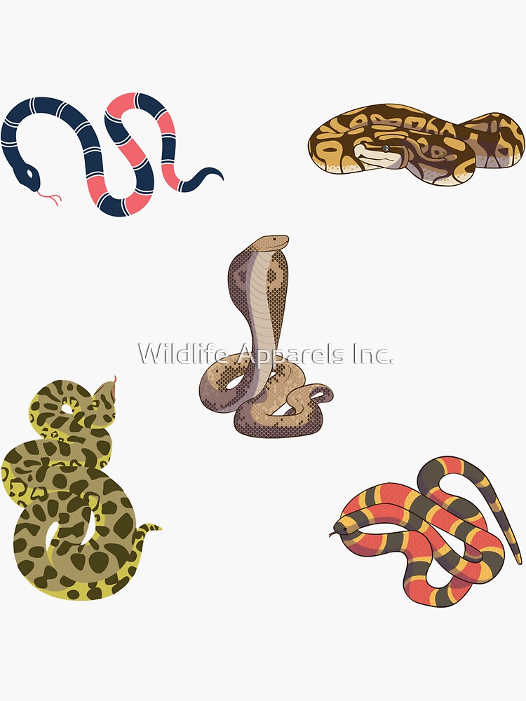 "Snakes Sticker Pack" Sticker for Sale by WildlifeAppCo | Redbubble