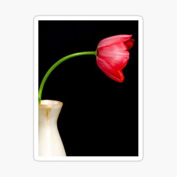 "Sell the Public Flowers by Jase Michael 2021" Sticker for Sale by ...