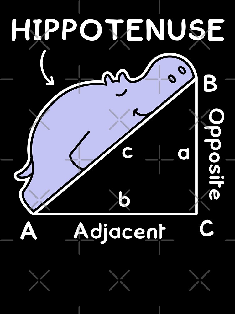 "Hypotenuse Math Pun, Hippotenuse" Kids T-Shirt for Sale by TashaVector ...