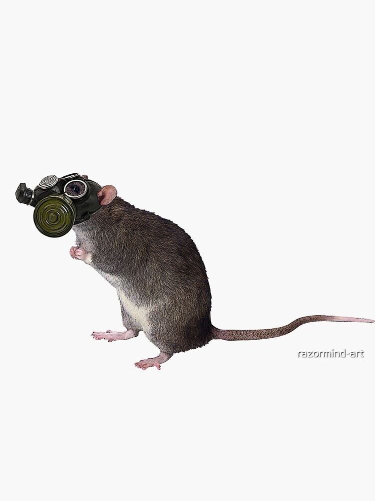 "rat in a gas mask" Sticker for Sale by razormind-art | Redbubble