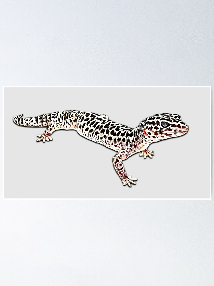 "Leopard gecko" Poster by Elarex | Redbubble