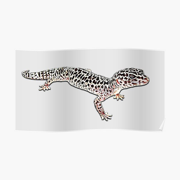 "Leopard gecko" Poster by Elarex | Redbubble
