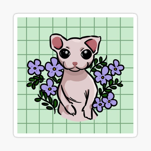"Bingus cat" Sticker for Sale by yrusoquiet | Redbubble