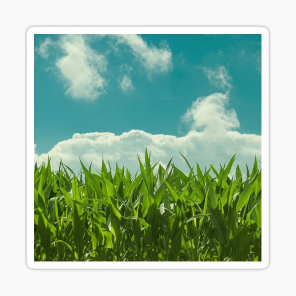 "Greenery greenery and only greenery" Sticker for Sale by gonisharma ...