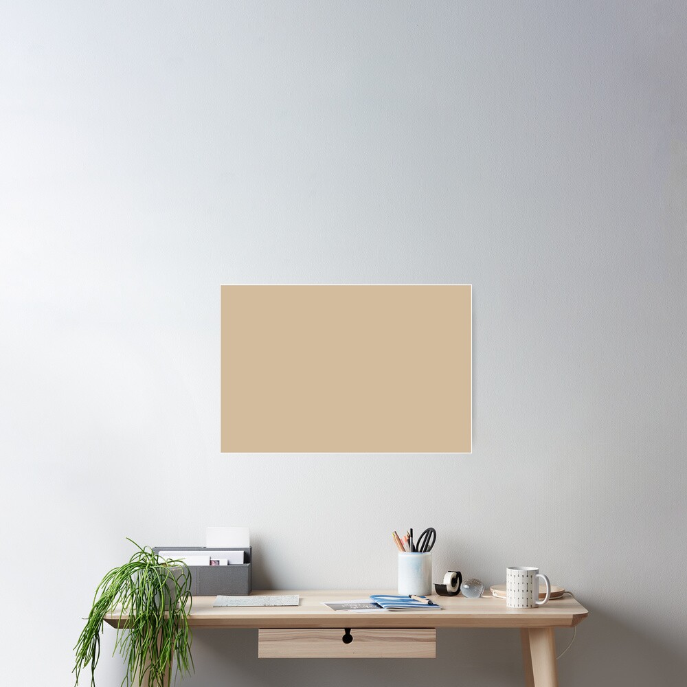 "Light Pastel Beige Solid Color Single Accent Shade / Hue Coordinates w ...