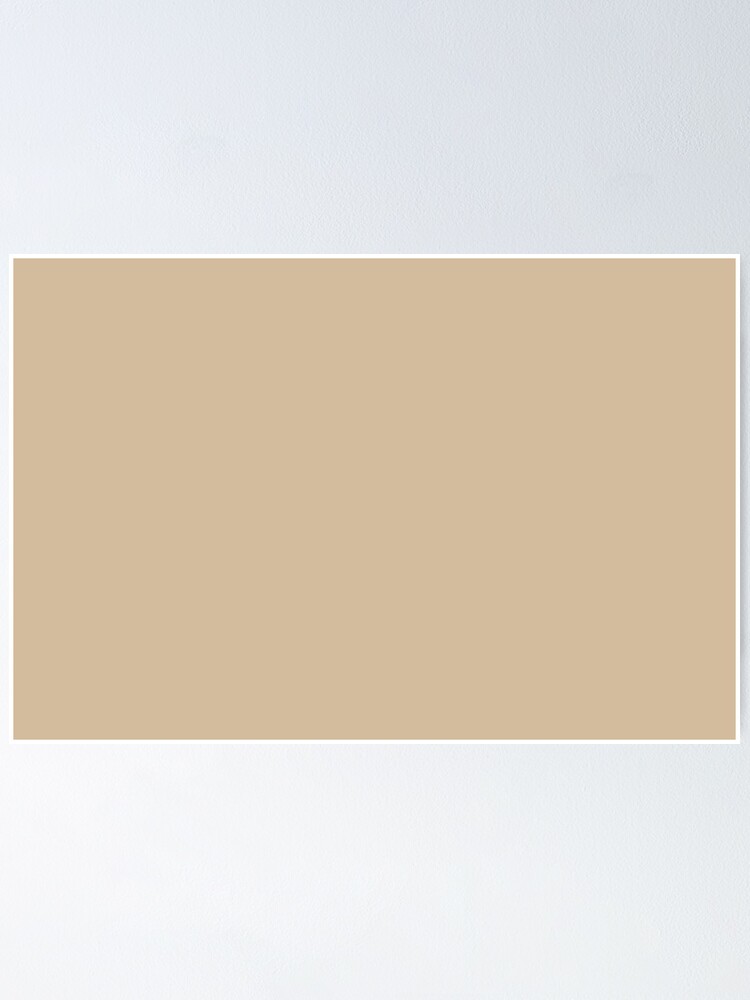 "Light Pastel Beige Solid Color Single Accent Shade / Hue Coordinates w ...