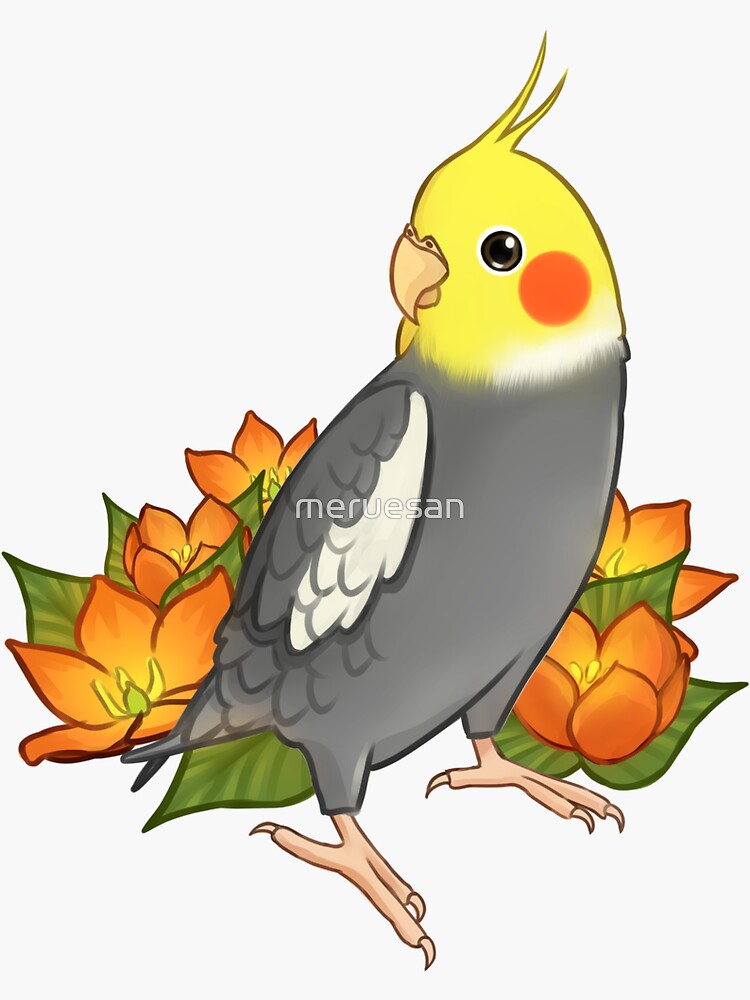 "Cute PBFD Cockatiel" Sticker for Sale by meruesan | Redbubble