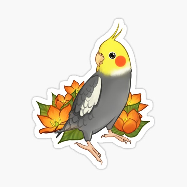 "Cute PBFD Cockatiel" Sticker for Sale by meruesan | Redbubble