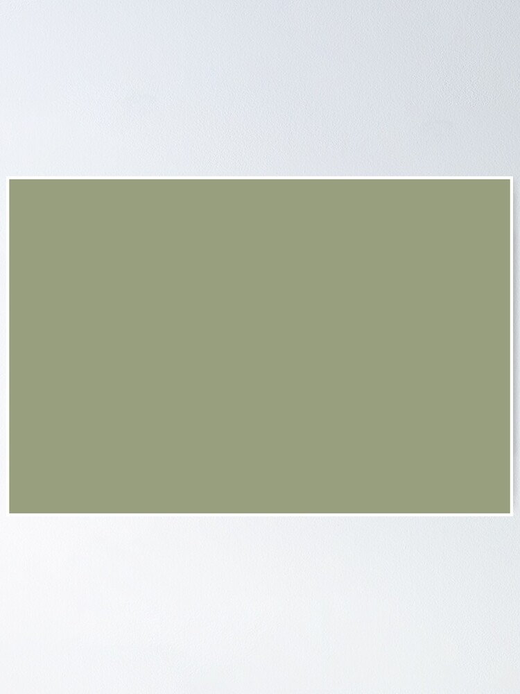 "Medium Green Solid Color Single Accent Shade / Hue Coordinates w ...