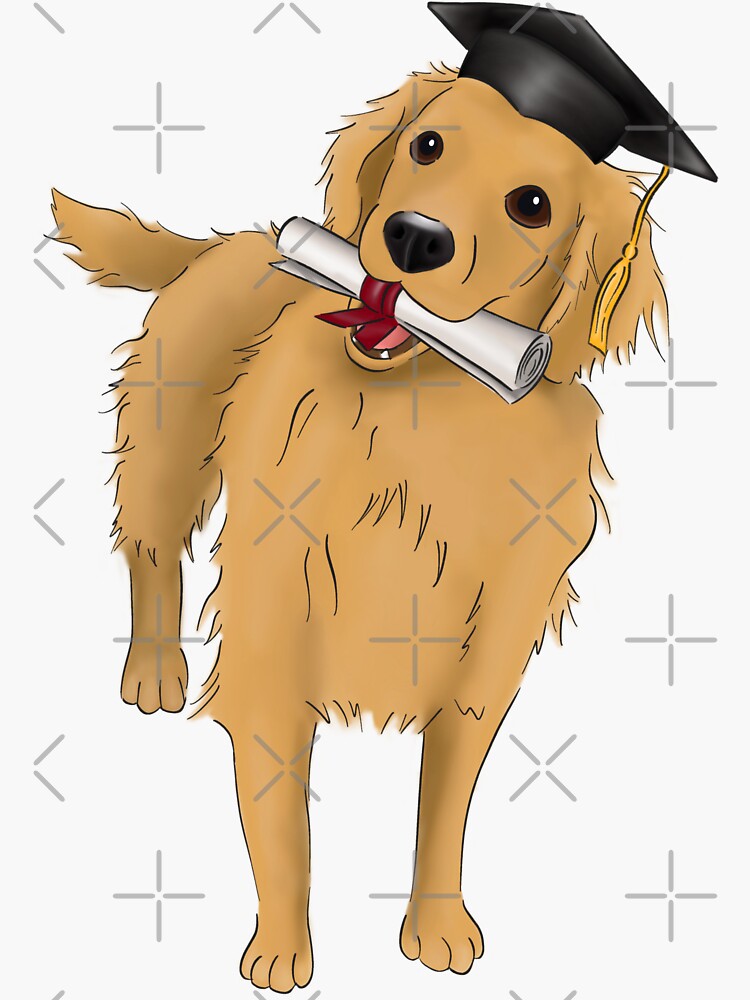 "Cute Golden Retriever Graduating | Cute Golden Retriever Wearing a ...