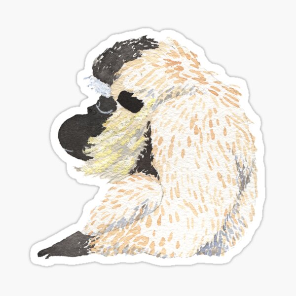"Sleeping Bornean Gibbon" Sticker for Sale by JeeHoke | Redbubble