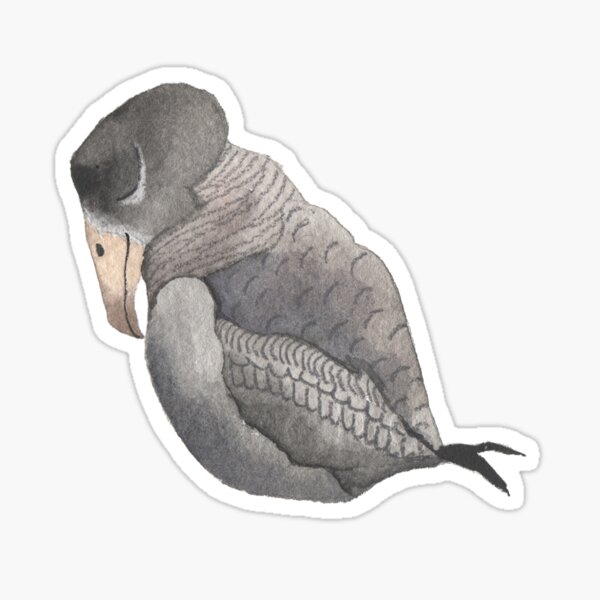 "Sleeping Black-footed Albatross" Sticker for Sale by JeeHoke | Redbubble