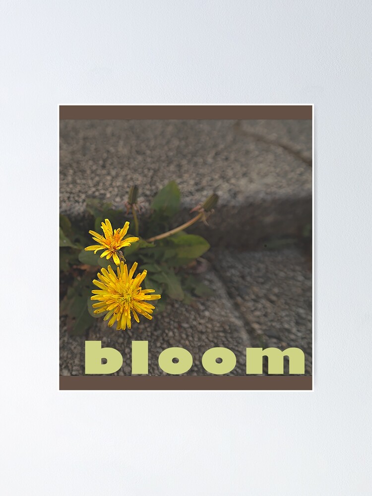 "bloom" Poster by DragonOfEgg | Redbubble